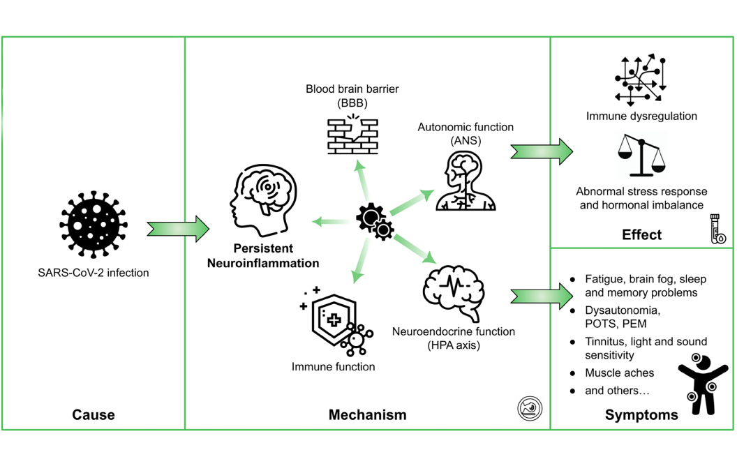 Frank Wesselingh benoemd tot hoogleraar paleobiologie | Maastricht University